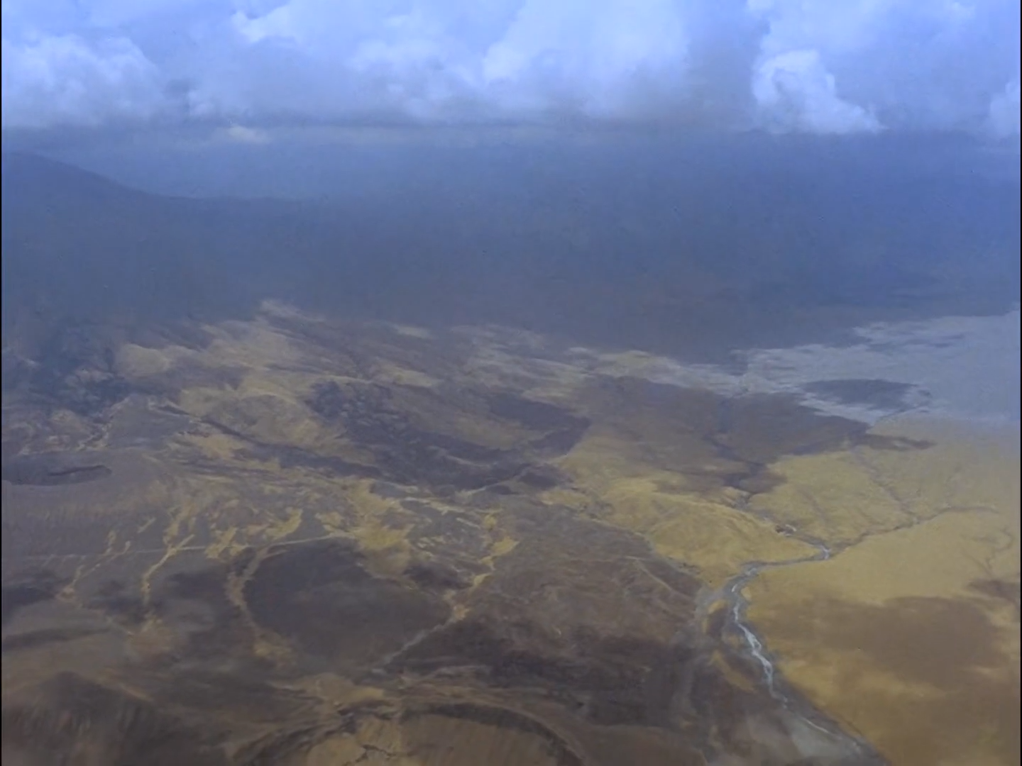 Wunderkind: Our Top 5 Incredible Werner Herzog Films